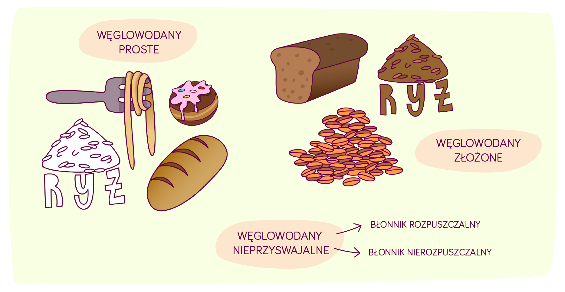 Błonnik – niedoceniany składnik diety